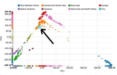 Race: What’s genes got to do with it?