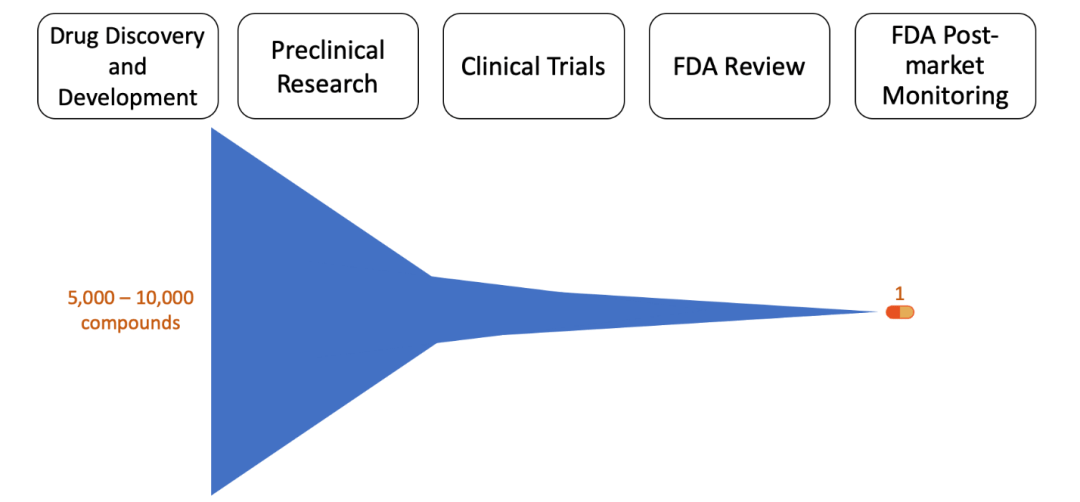 From the Lab to your Medicine Cabinet: A Timeline of Drug Development