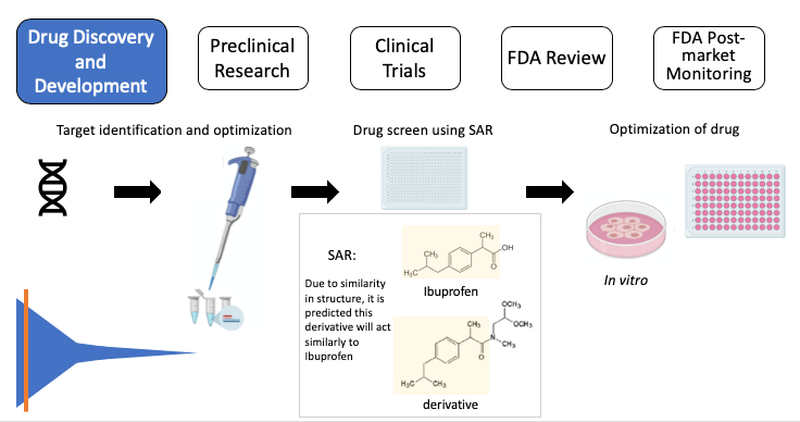 From the Lab to your Medicine Cabinet: A Timeline of Drug Development