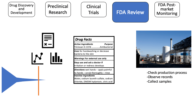 From the Lab to your Medicine Cabinet: A Timeline of Drug Development