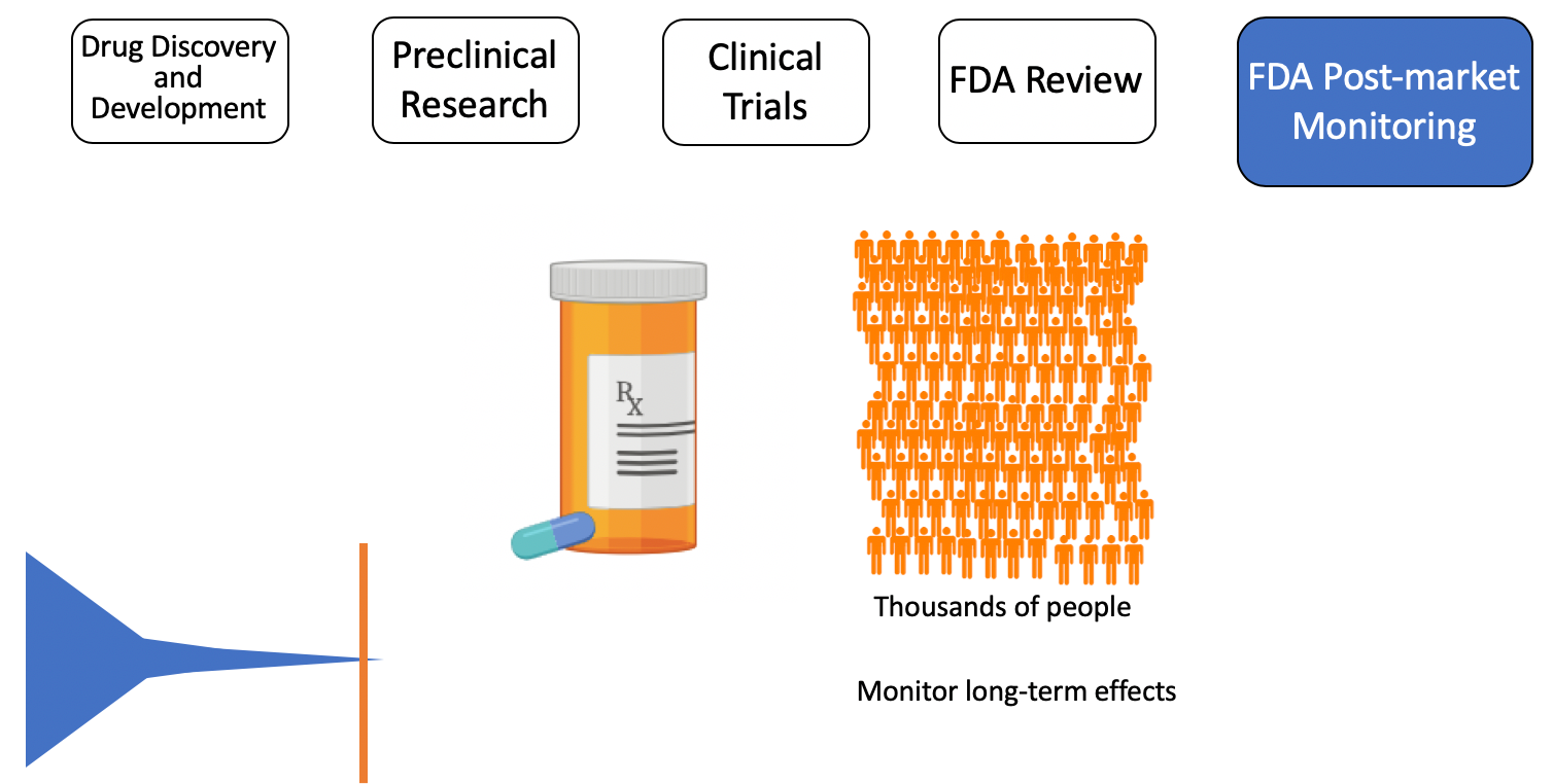 From the Lab to your Medicine Cabinet: A Timeline of Drug Development