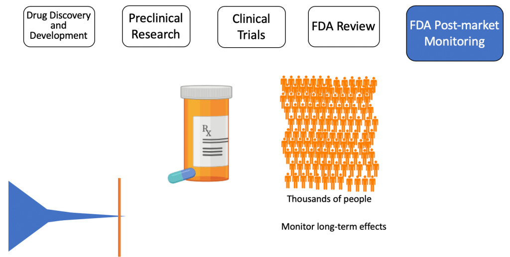 From the Lab to your Medicine Cabinet: A Timeline of Drug Development