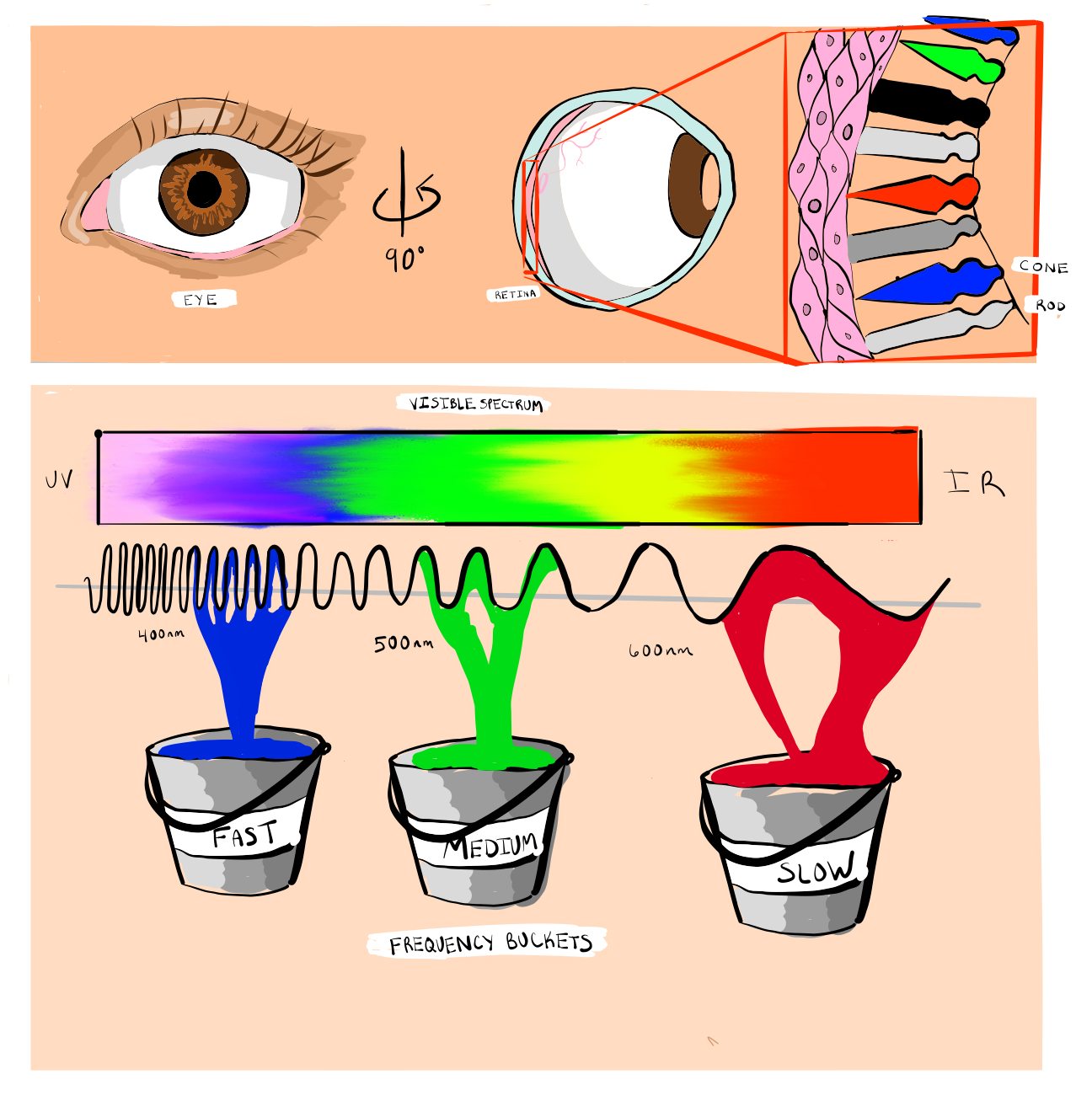 How does light present as color?